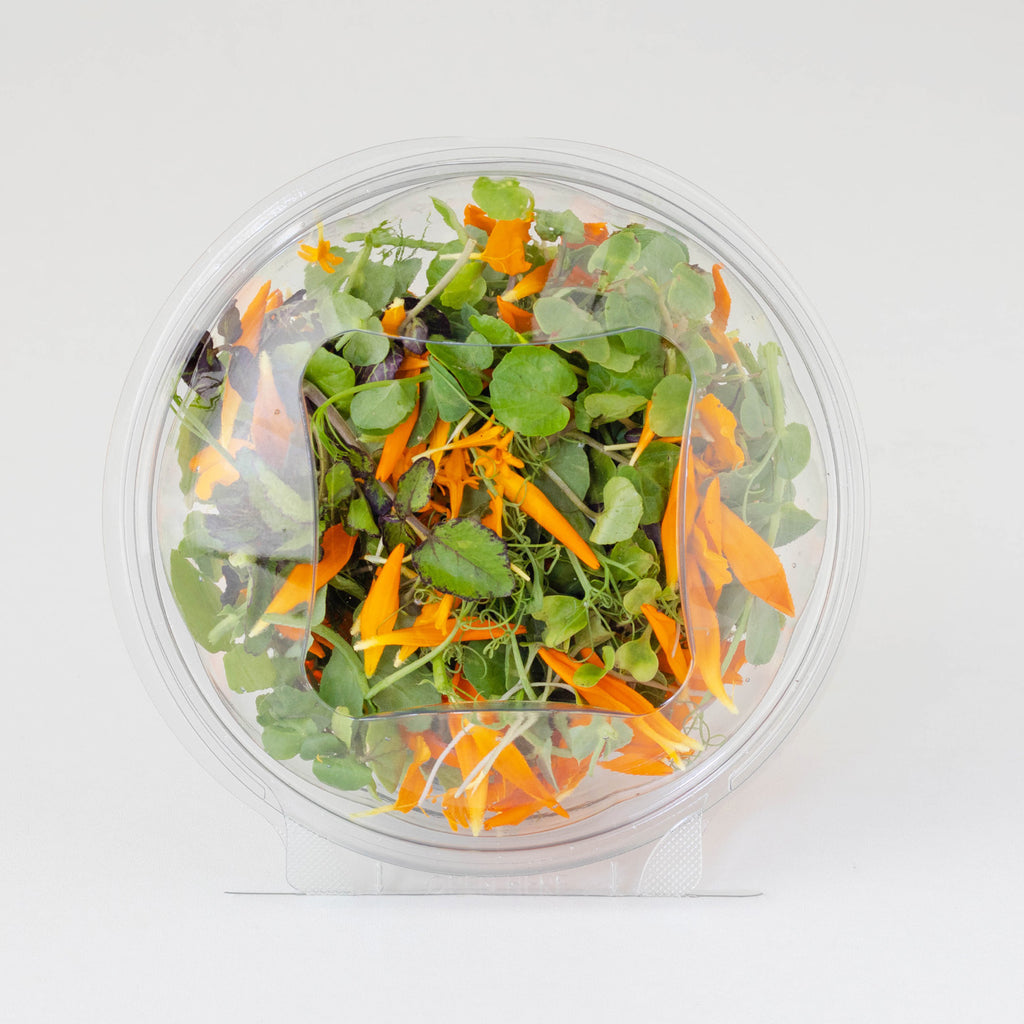 Hazır Salatalar - Mimix | Doğal ve Taze | Mimi Çiftliği