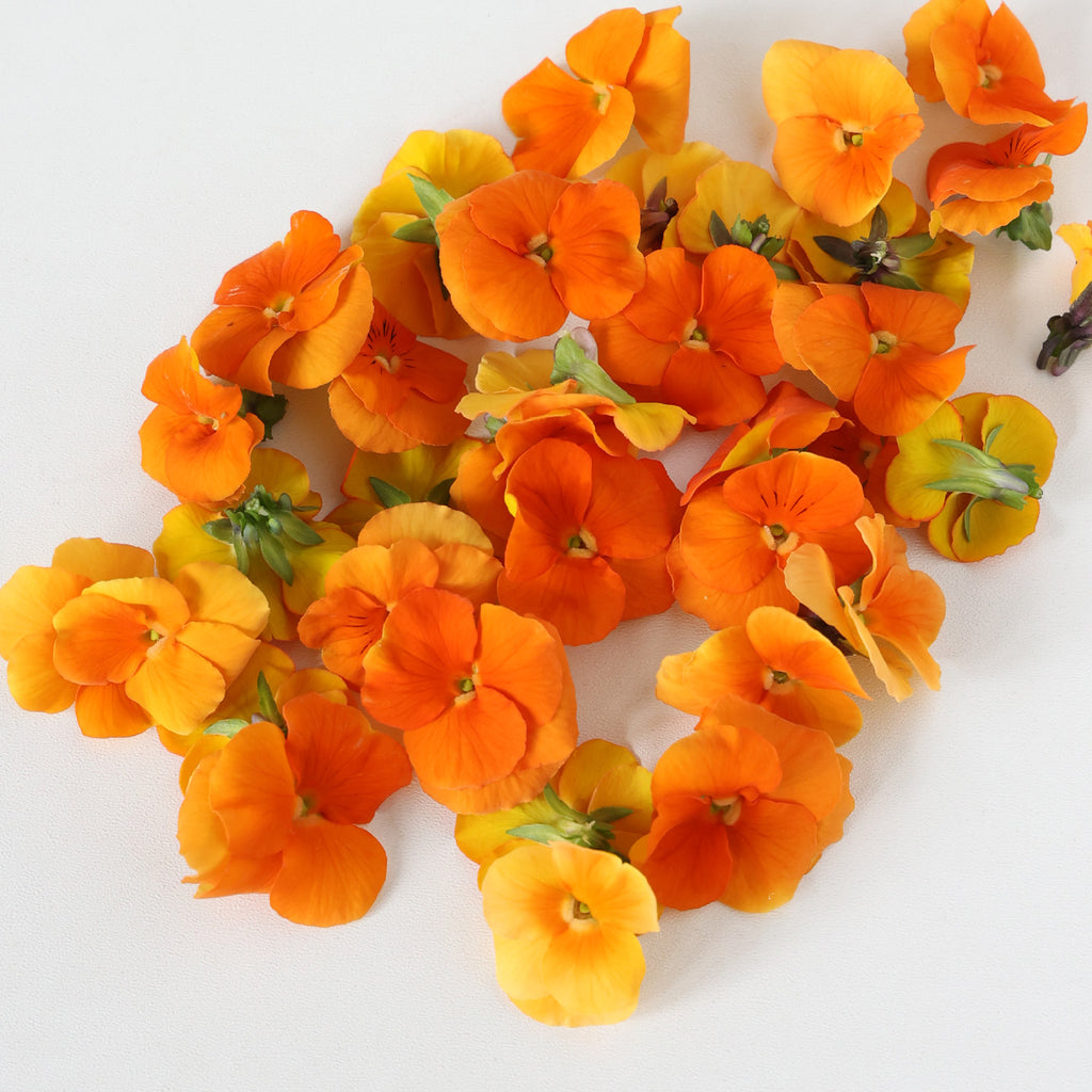Orange Edible Violets | Edible Flowers | Mimi Farm
