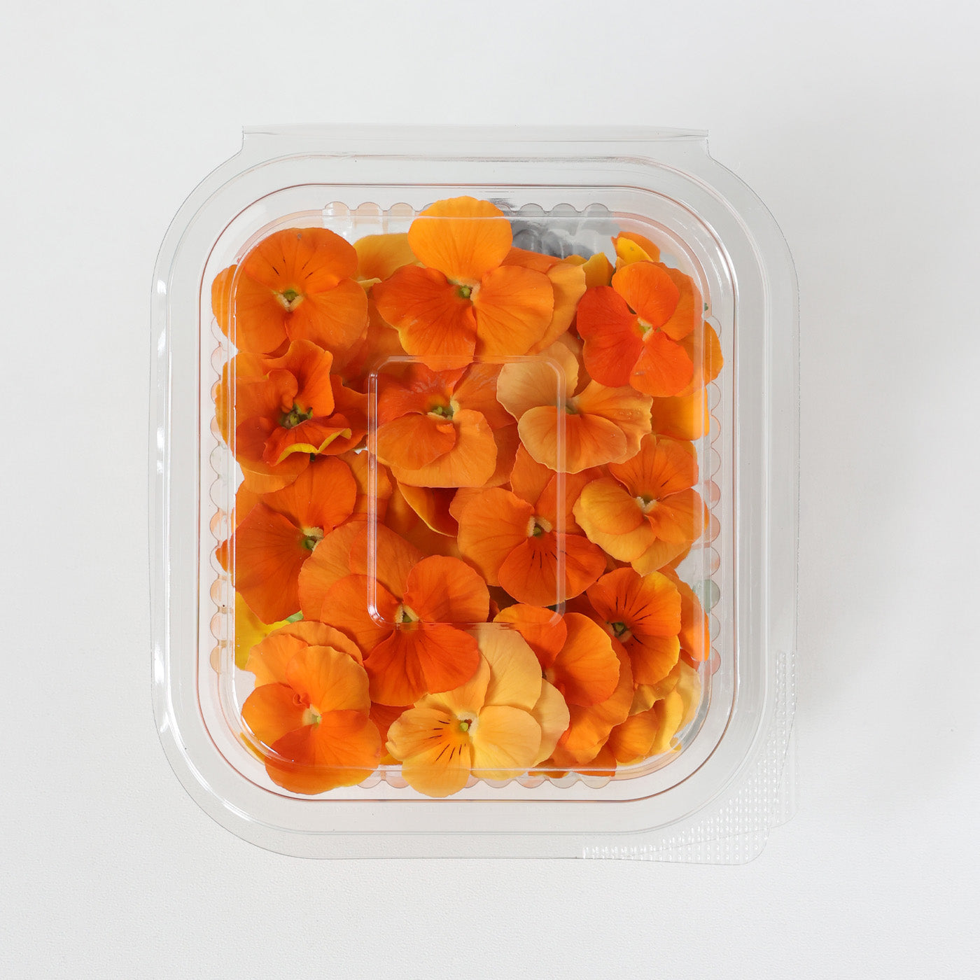 Orange Edible Violets | Edible Flowers | Mimi Farm